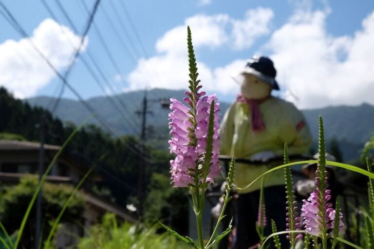 Nagoro, Village of Dolls - Japan Adventurer